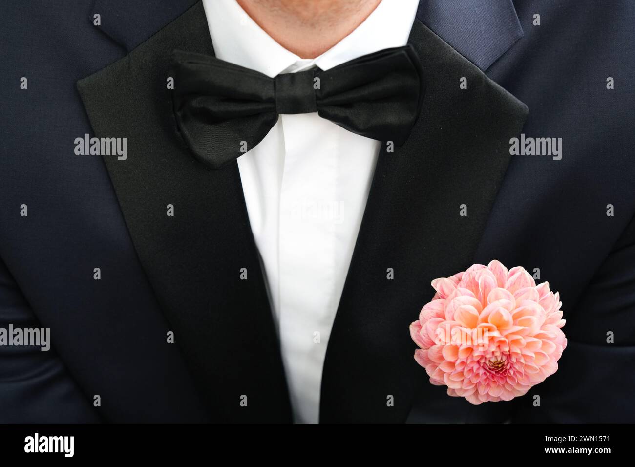 Man wearing bow tie hi-res stock photography and images - Alamy
