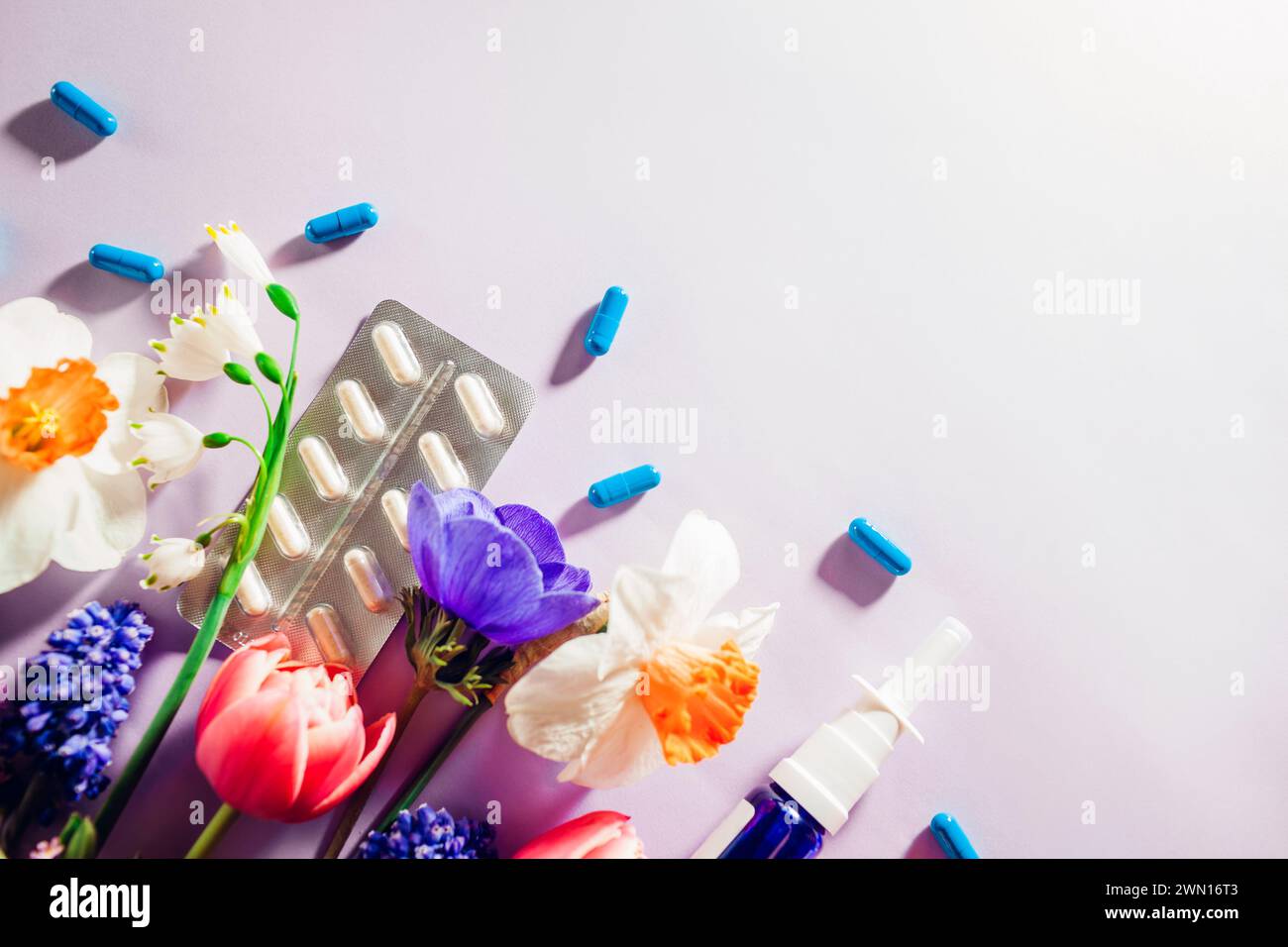 Seasonal spring allergy. Pills and nasal spray flat lay with purple ...