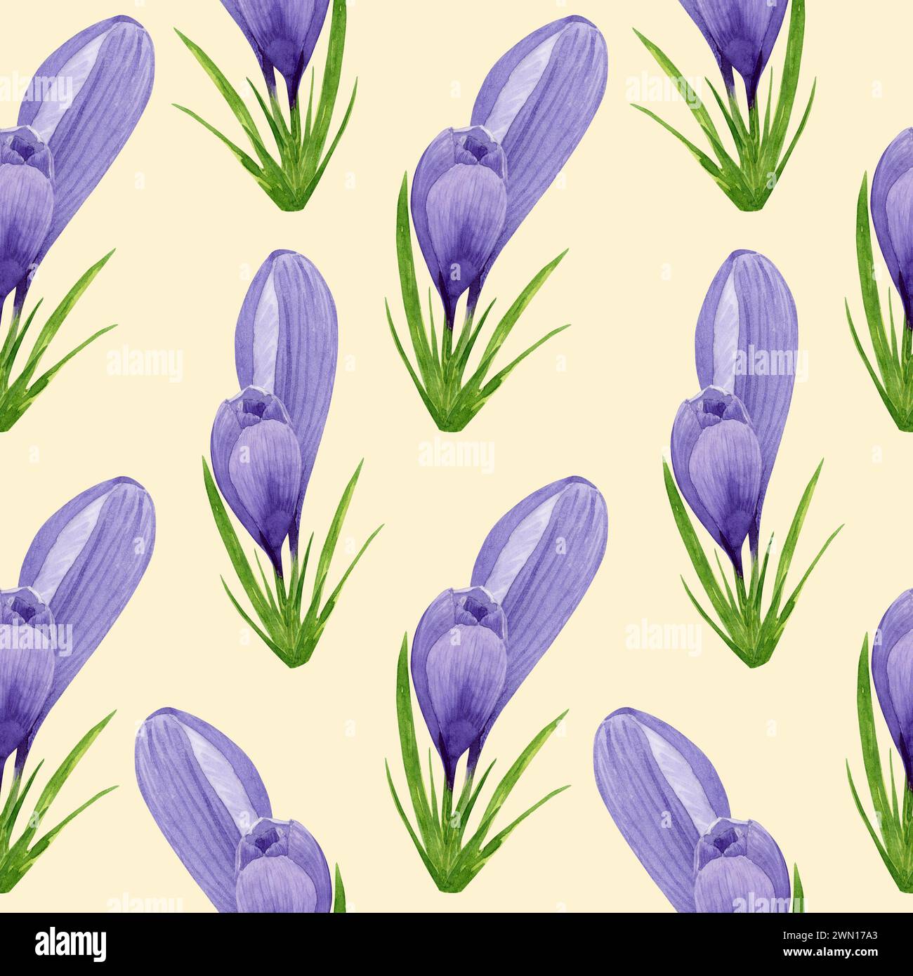 Watercolor purple crocuses seamless pattern, spring flower digital ...