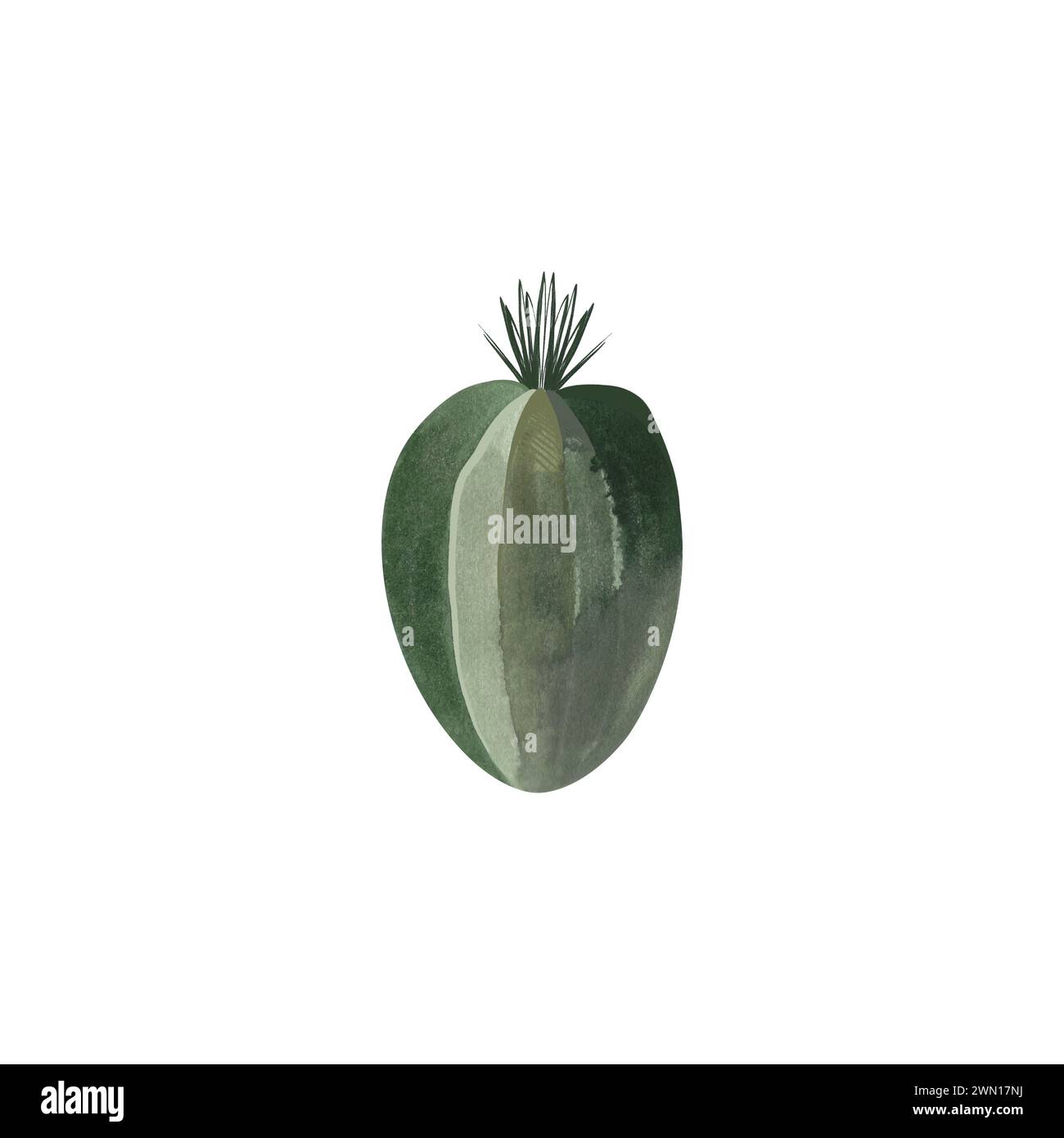 Dunes plants on sand Cut Out Stock Images & Pictures - Alamy