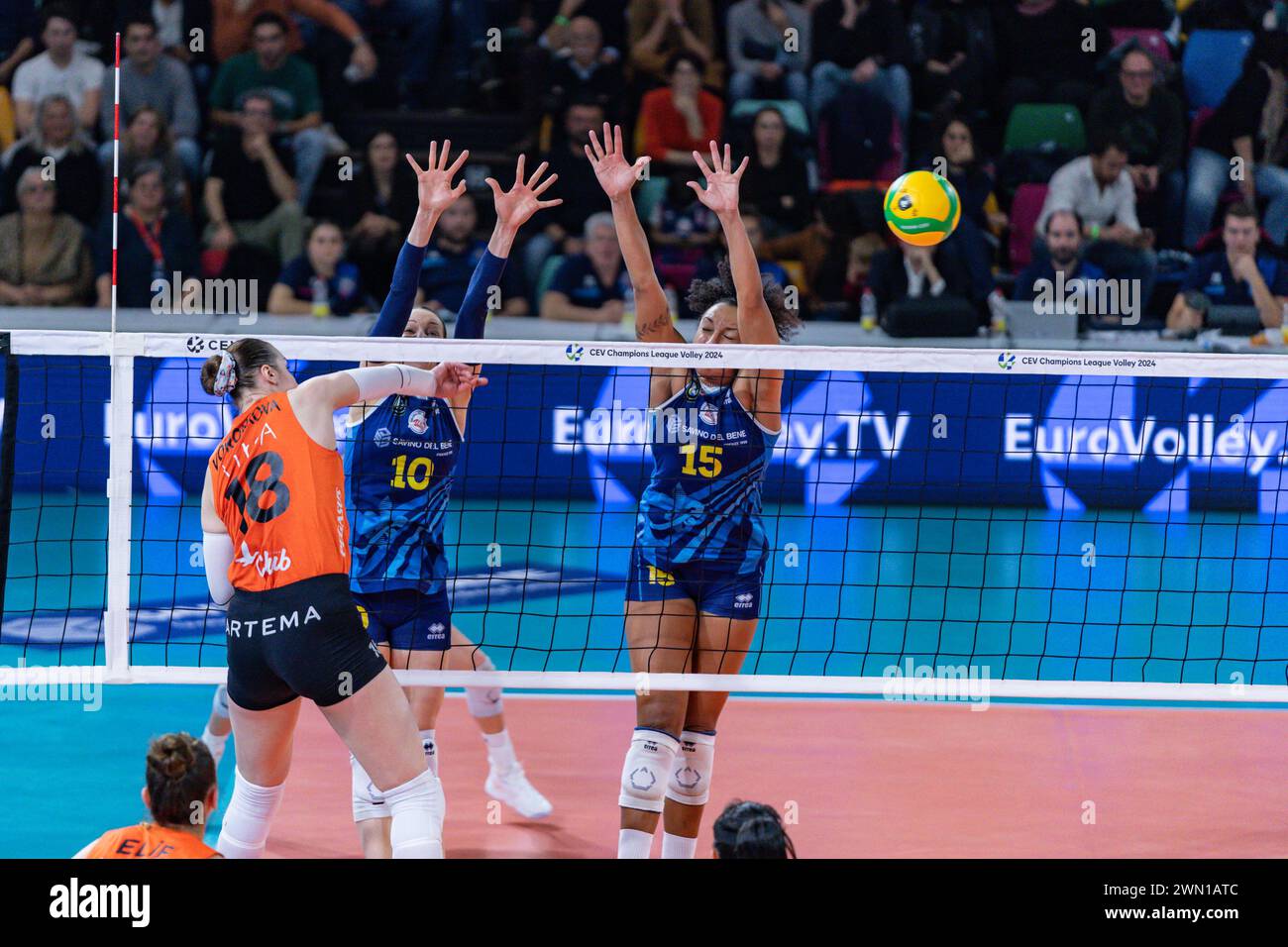 Irina voronkova hi-res stock photography and images - Alamy