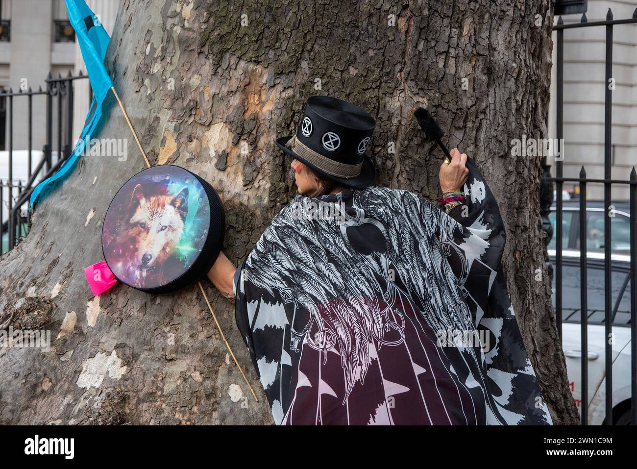 London, UK. 28th Feb, 2024. Shaman woman cuddles the old sycamore tree ...