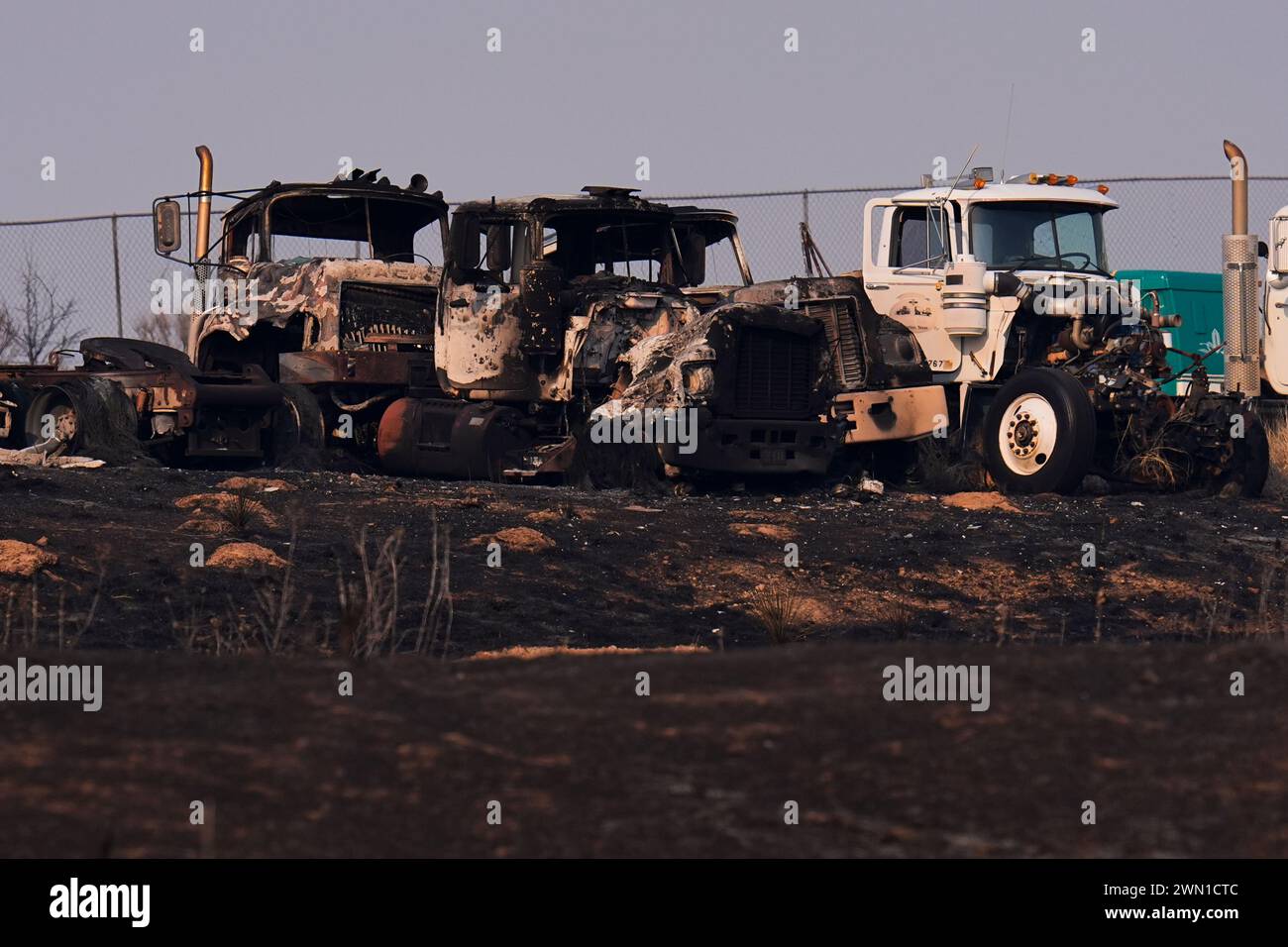 Charred semi trucks are seen in an area burned by the Smokehouse Creek ...