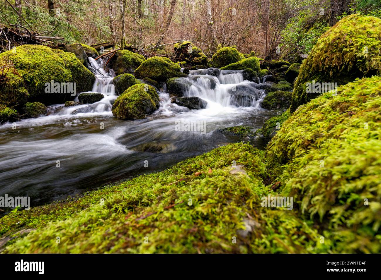 Mary vine creek falls hi-res stock photography and images - Alamy