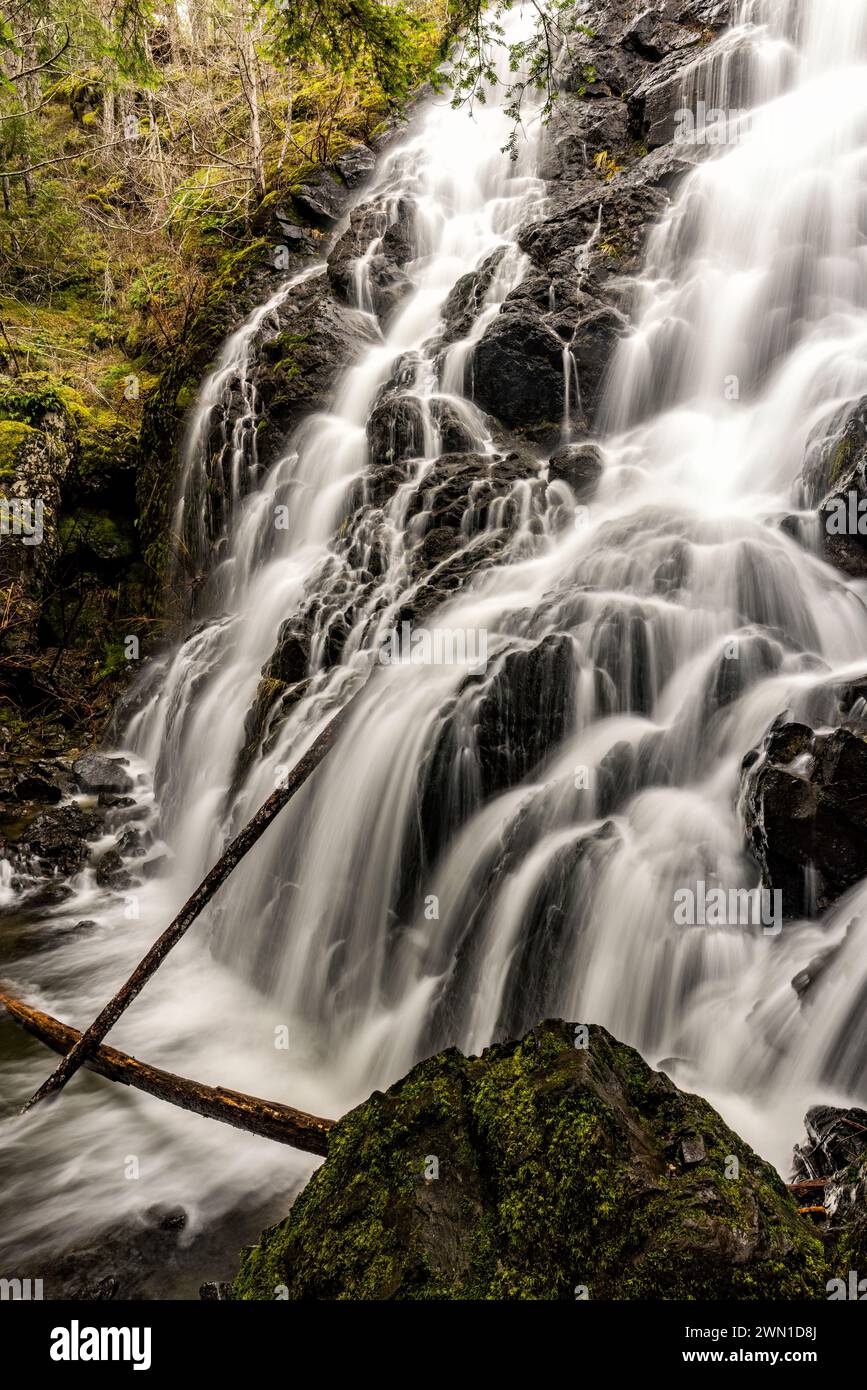 Mary vine creek falls hi-res stock photography and images - Alamy