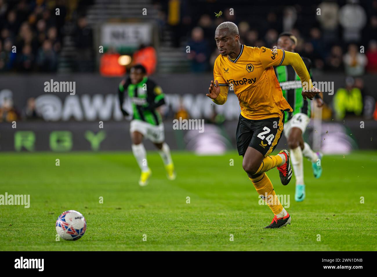 28th February 2024; Molineux Stadium, Wolverhampton, West Midlands ...