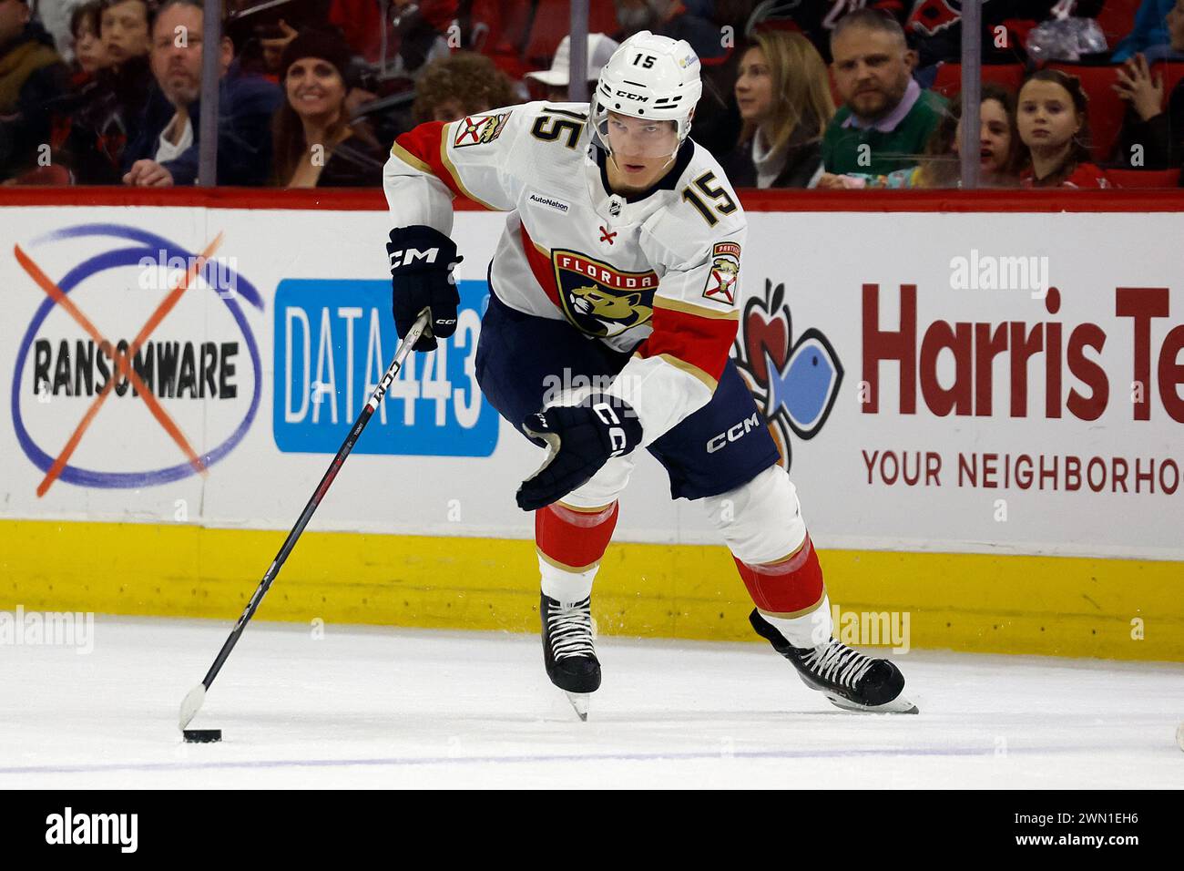 Florida Panthers' Anton Lundell (15) skates with the puck against the ...
