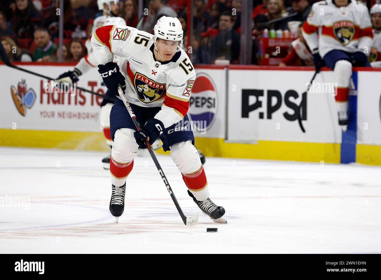 Florida Panthers' Anton Lundell (15) skates with the puck against the ...