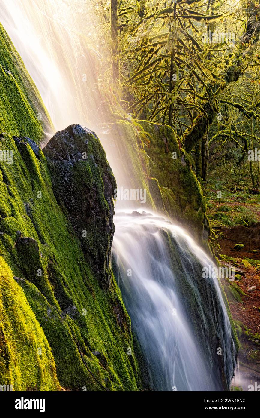 Backlit waterfall hi-res stock photography and images - Alamy