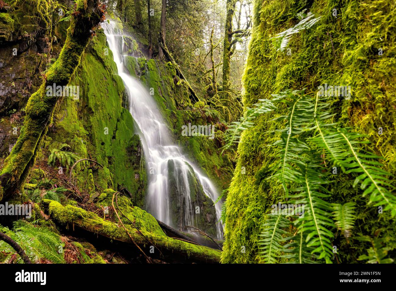 Waterfall in lush temperate rainforest - Goldstream Provincial Park ... Waterfall in lush temperate rainforest - Goldstream Provincial Park ...