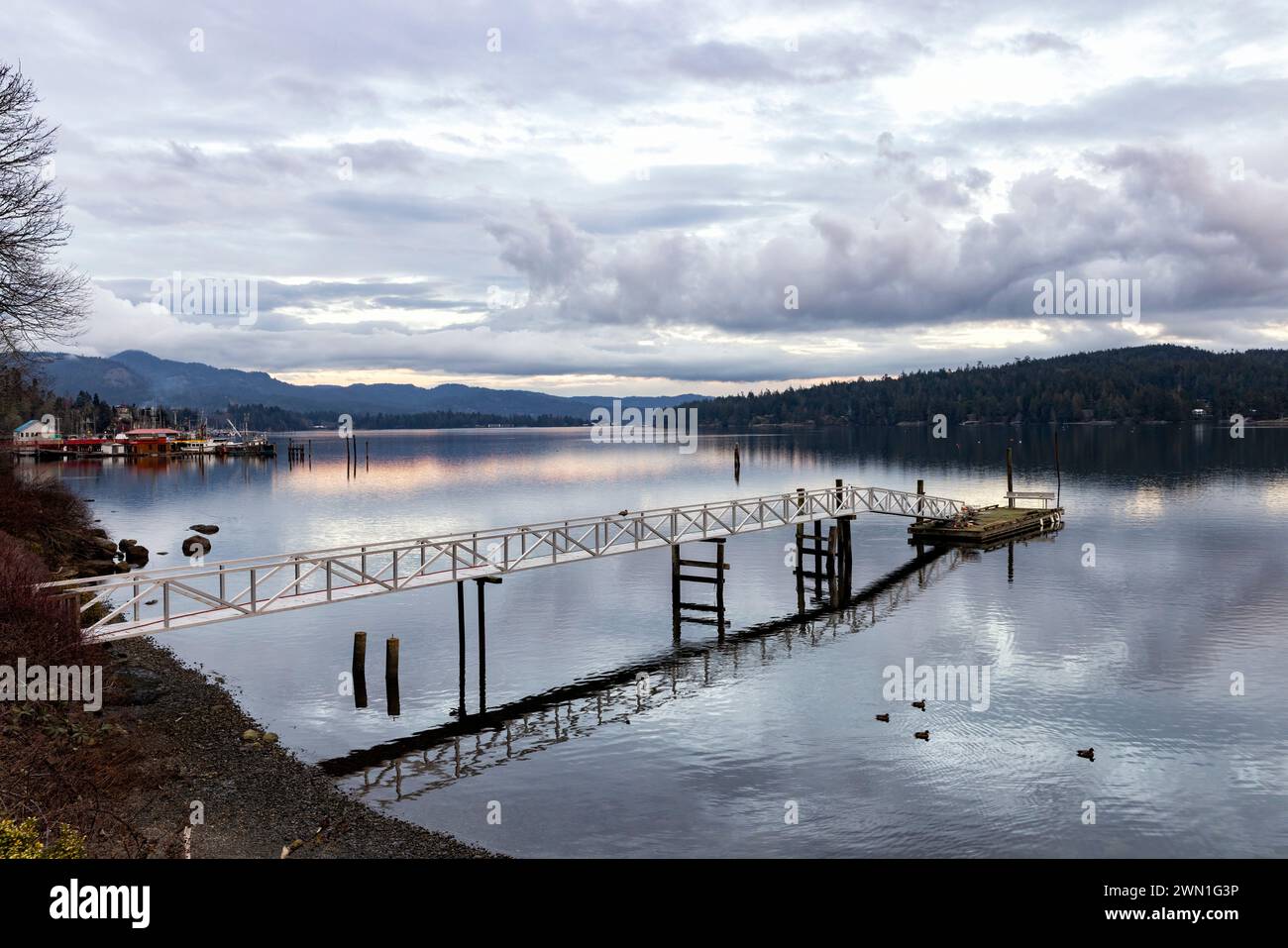 Sooke basin hi-res stock photography and images - Alamy