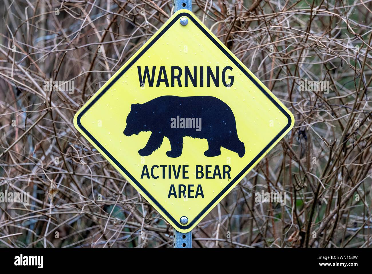 Warning sign for Active Bear Area, Shirley, Vancouver Island, British ...