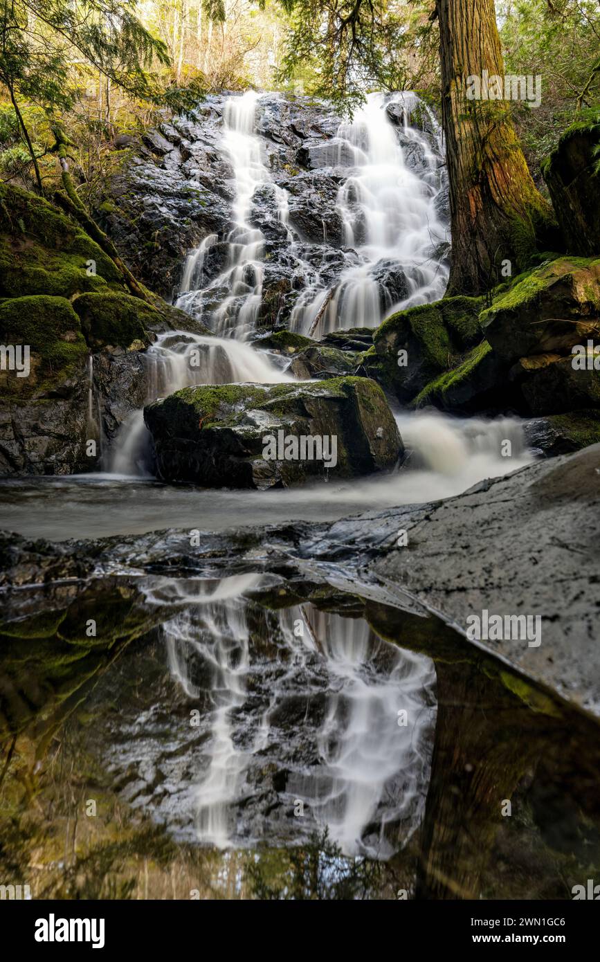 Mary Vine Creek Falls reflection - Sooke, Vancouver Island, British ...