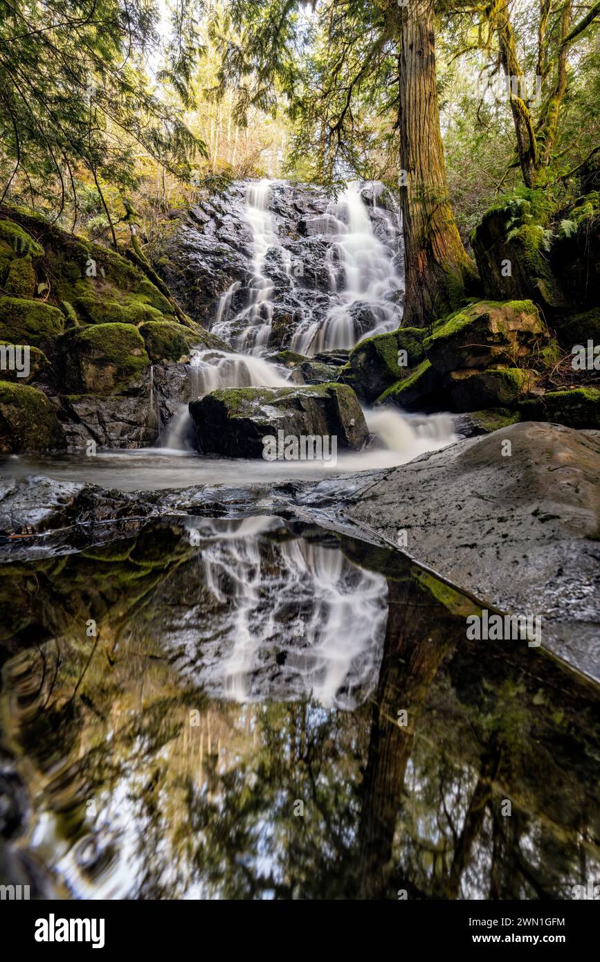 Mary Vine Creek Falls reflection - Sooke, Vancouver Island, British ...