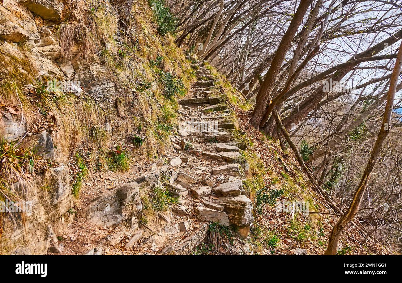 The forest with narrow stone footpath, running along the slope of Monte ...