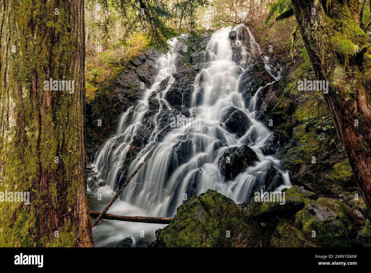 Mary vine creek falls hi-res stock photography and images - Alamy