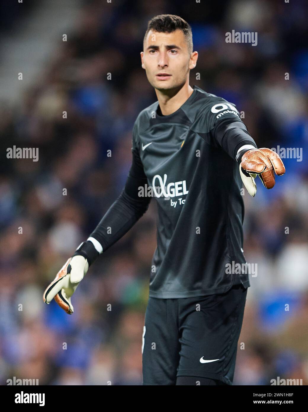 Dominik greif hi-res stock photography and images - Alamy