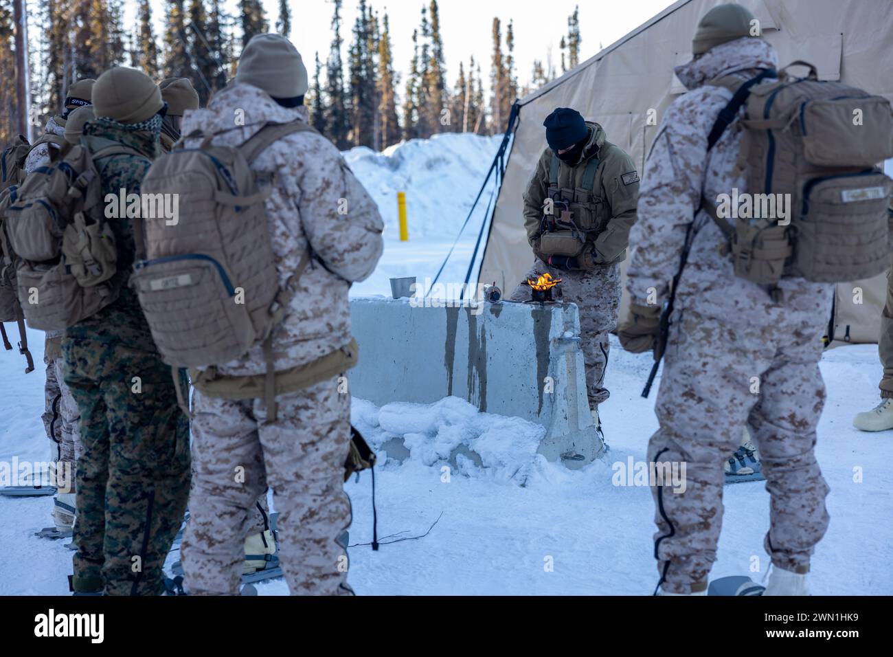 U.S. Marines with Fox Battery, 2nd Battalion, 14th Marine Regiment, 4th ...