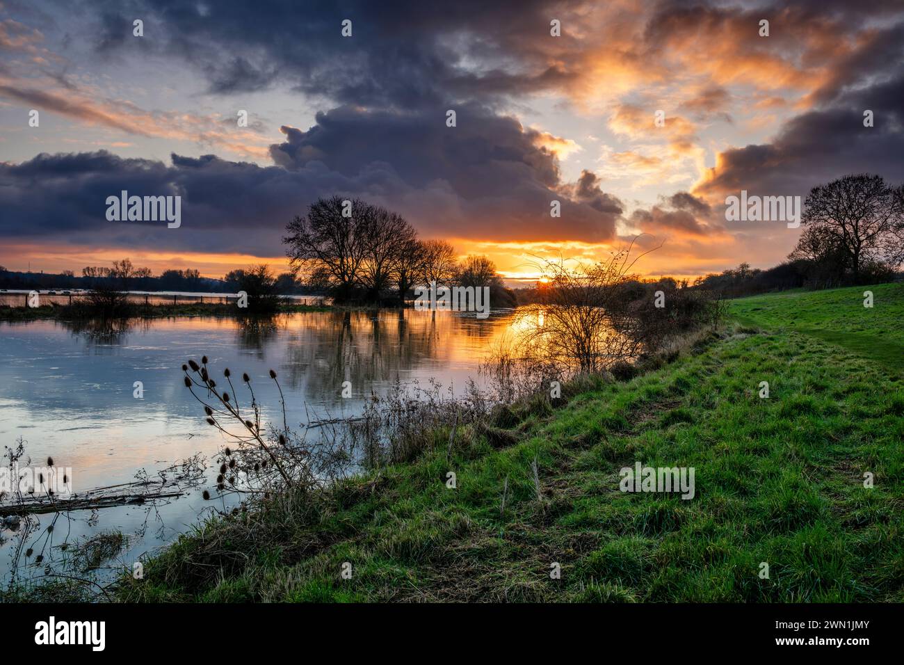 The River Nene in flood in January 2024 at sunset, Ferry Meadows ...
