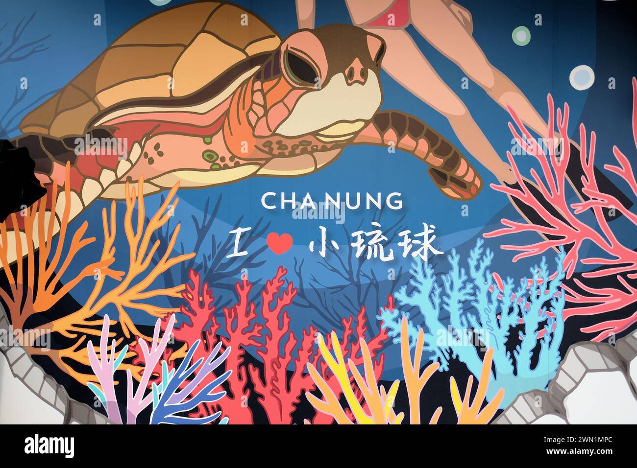 Cha Nung store on Zhongshan Road, Xiao Liuqiu island off the coast of ...