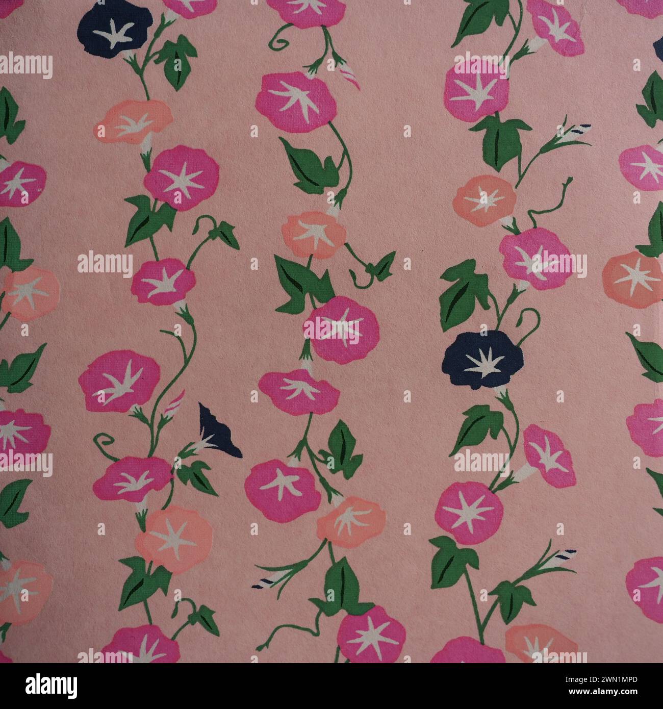 Japanese sumer hi-res stock photography and images - Alamy