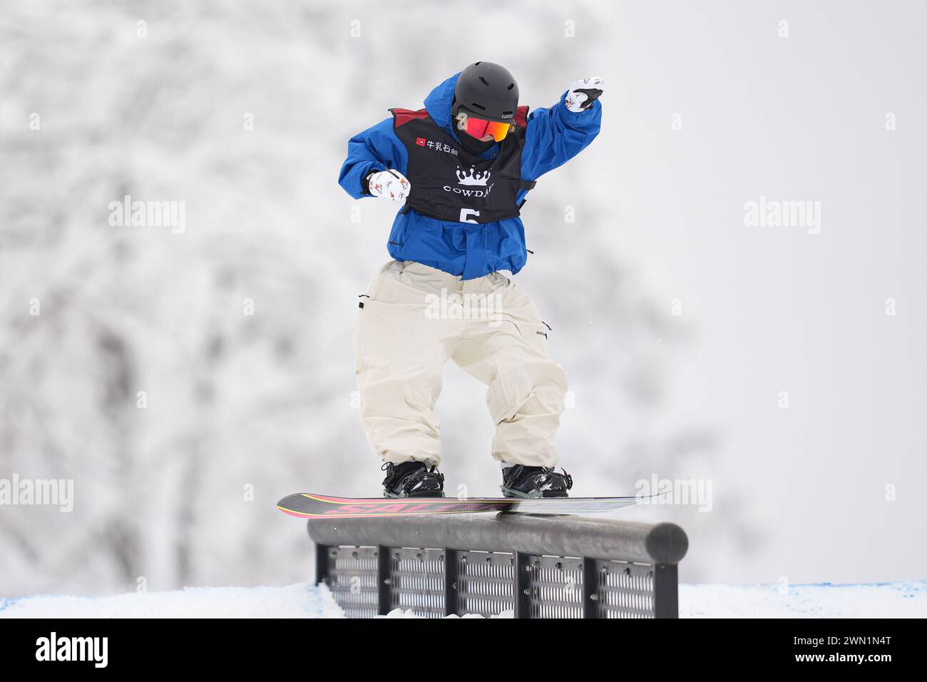 Nagano, Japan. 28th Feb, 2024. Kaito Hamada Snowboarding : COWDAY SLOPE ...
