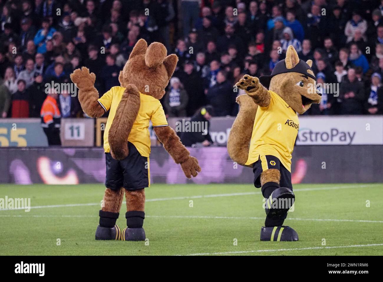 Wolverhampton wolves mascots hi-res stock photography and images - Alamy