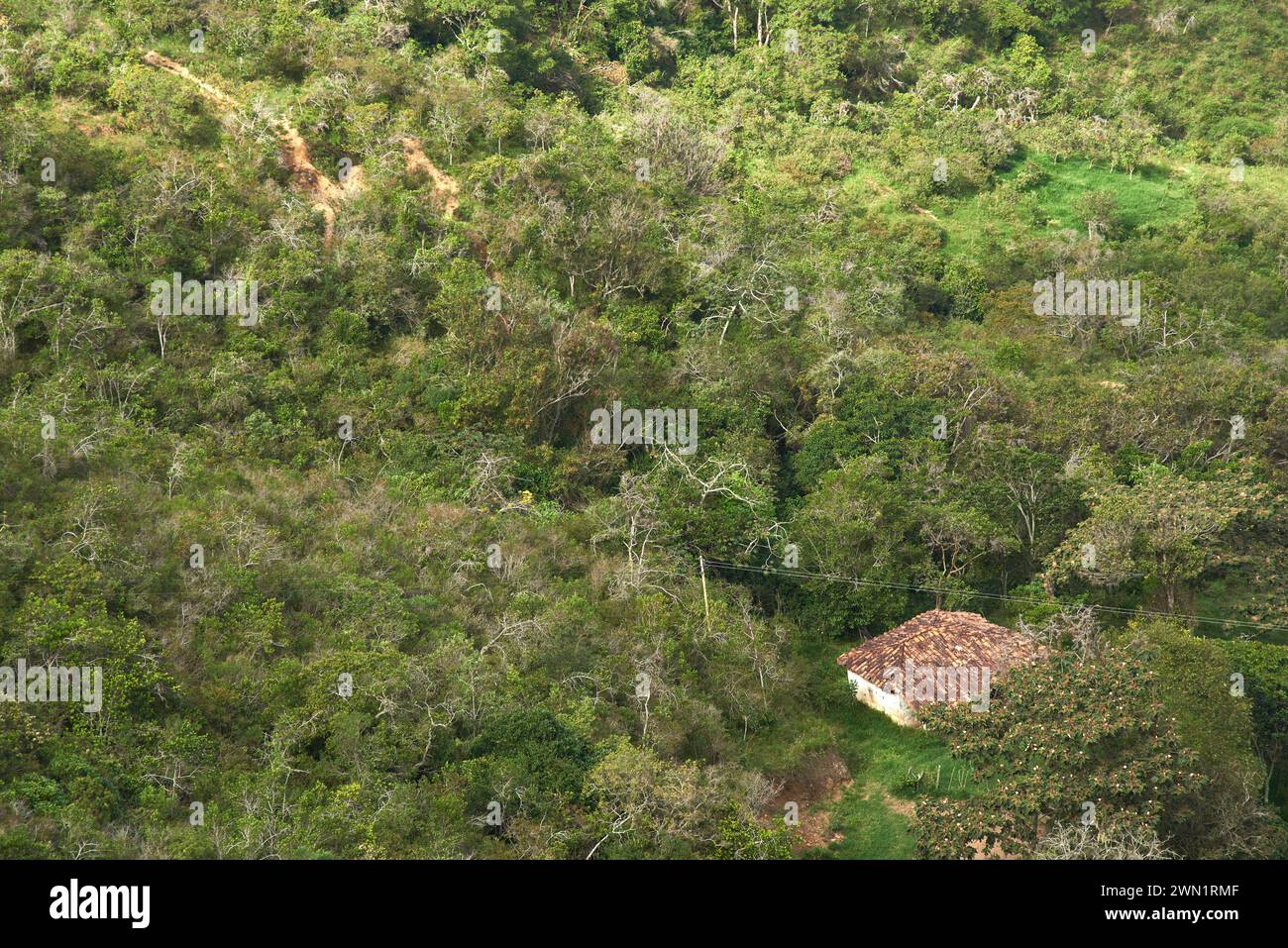 Modest rural house in a wooded area of the Colombian Andes. Vegetation ...