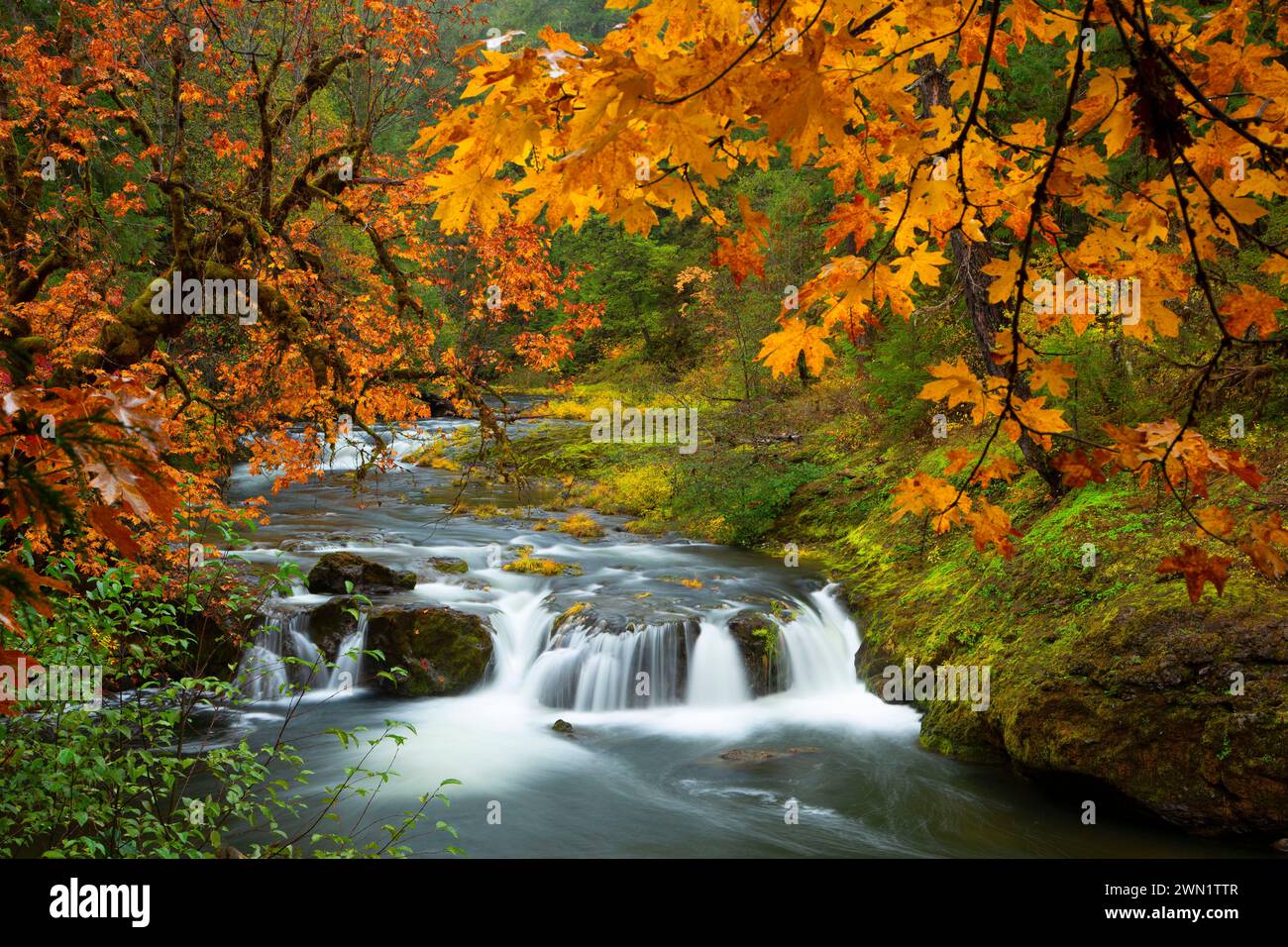 Falls on South Umpqua River, Umpqua National Forest, Oregon Stock Photo ...