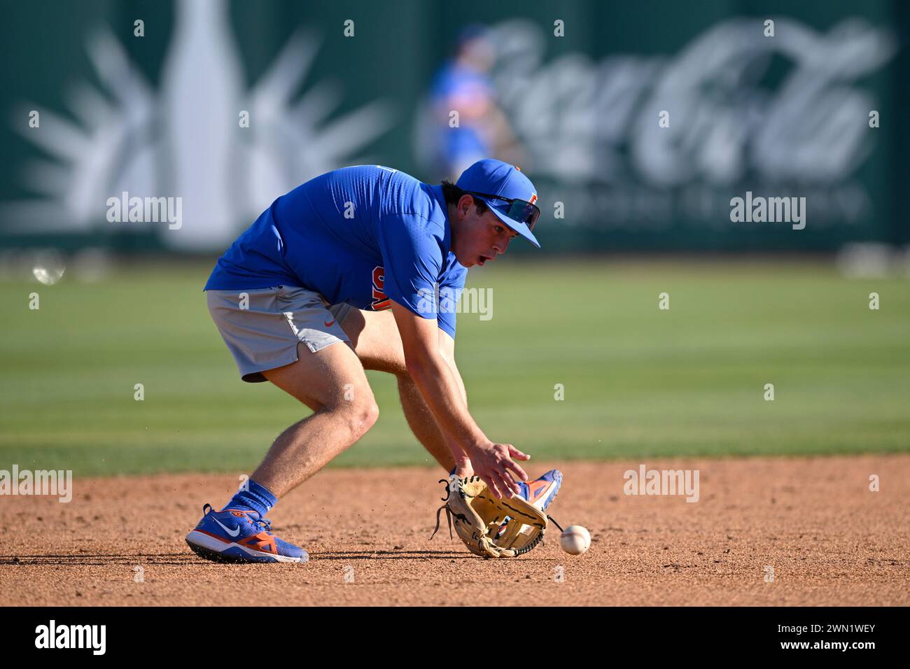 Florida's Sammy Mummau (5) before an NCAA college baseball game against ...