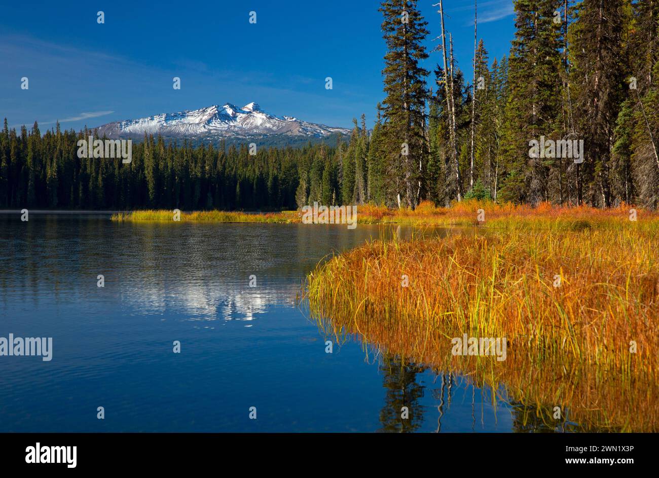 Gold Lake with Diamond Peak, Willamette National Forest, Oregon Stock ...