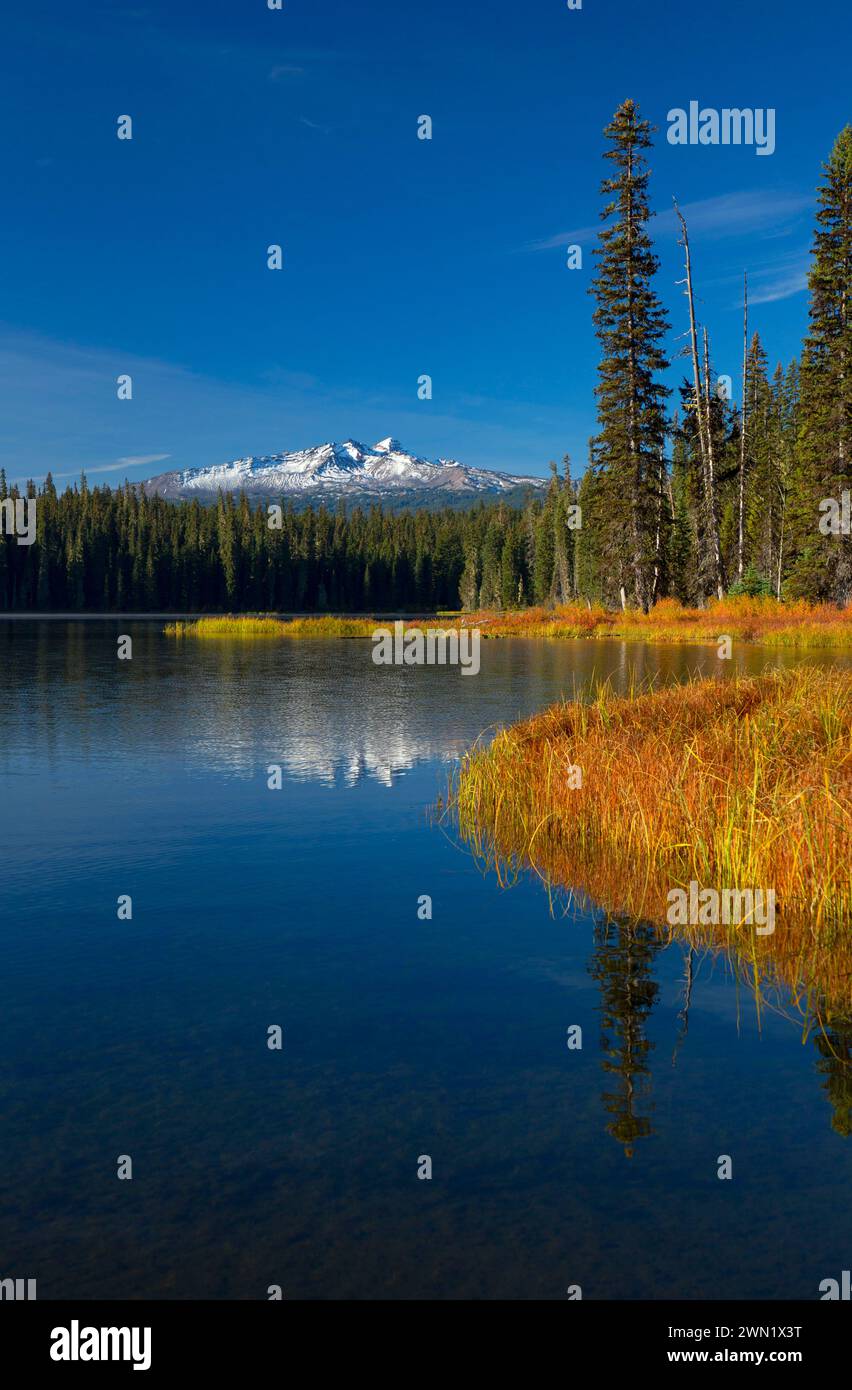Gold Lake with Diamond Peak, Willamette National Forest, Oregon Stock ...