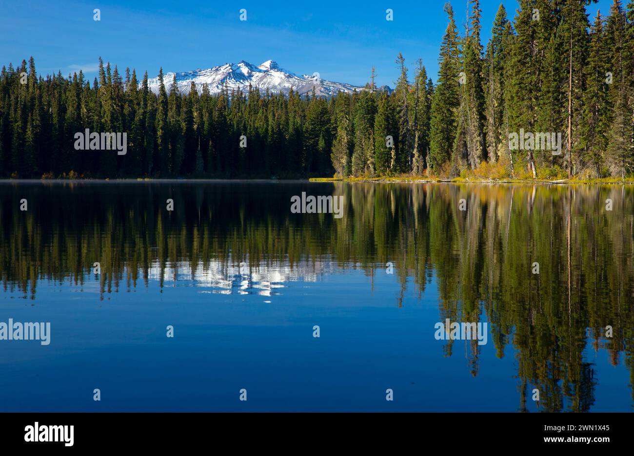 Gold Lake with Diamond Peak, Willamette National Forest, Oregon Stock ...