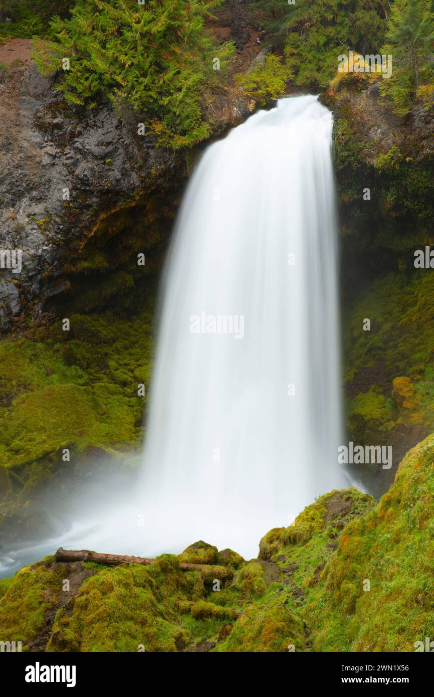 Sahalie Falls, Willamette National Forest, McKenzie Wild and Scenic ...