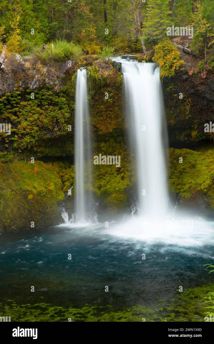Koosah Falls, McKenzie Wild and Scenic River, Willamette National ...