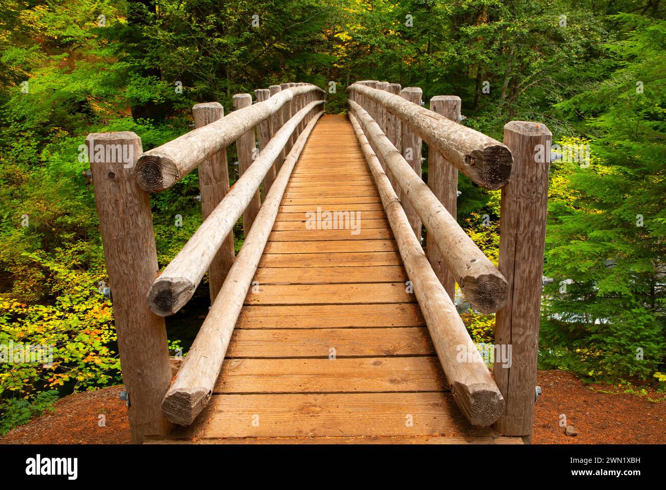 McKenzie River Trail hiker bridge, McKenzie Wild and Scenic River ...