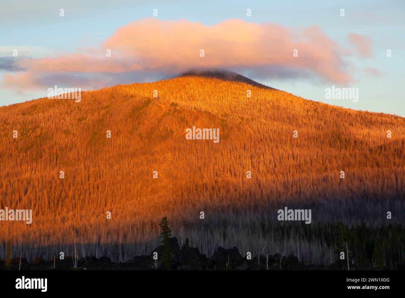 Black Crater from Lava River National Recreation Trail, Willamette ...