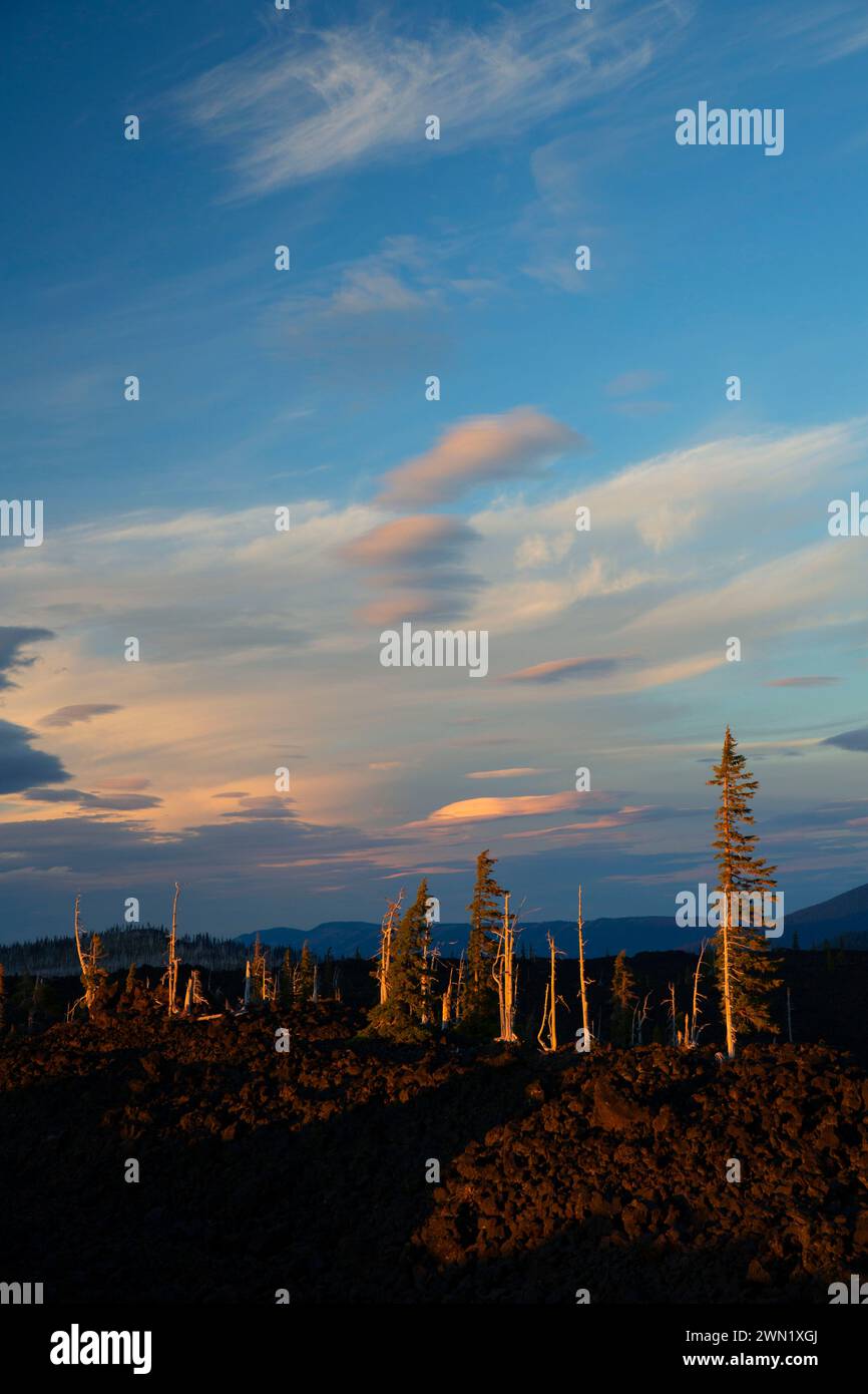 Lava flow with mountain hemlock from Dee Wright Observatory, Willamette ...