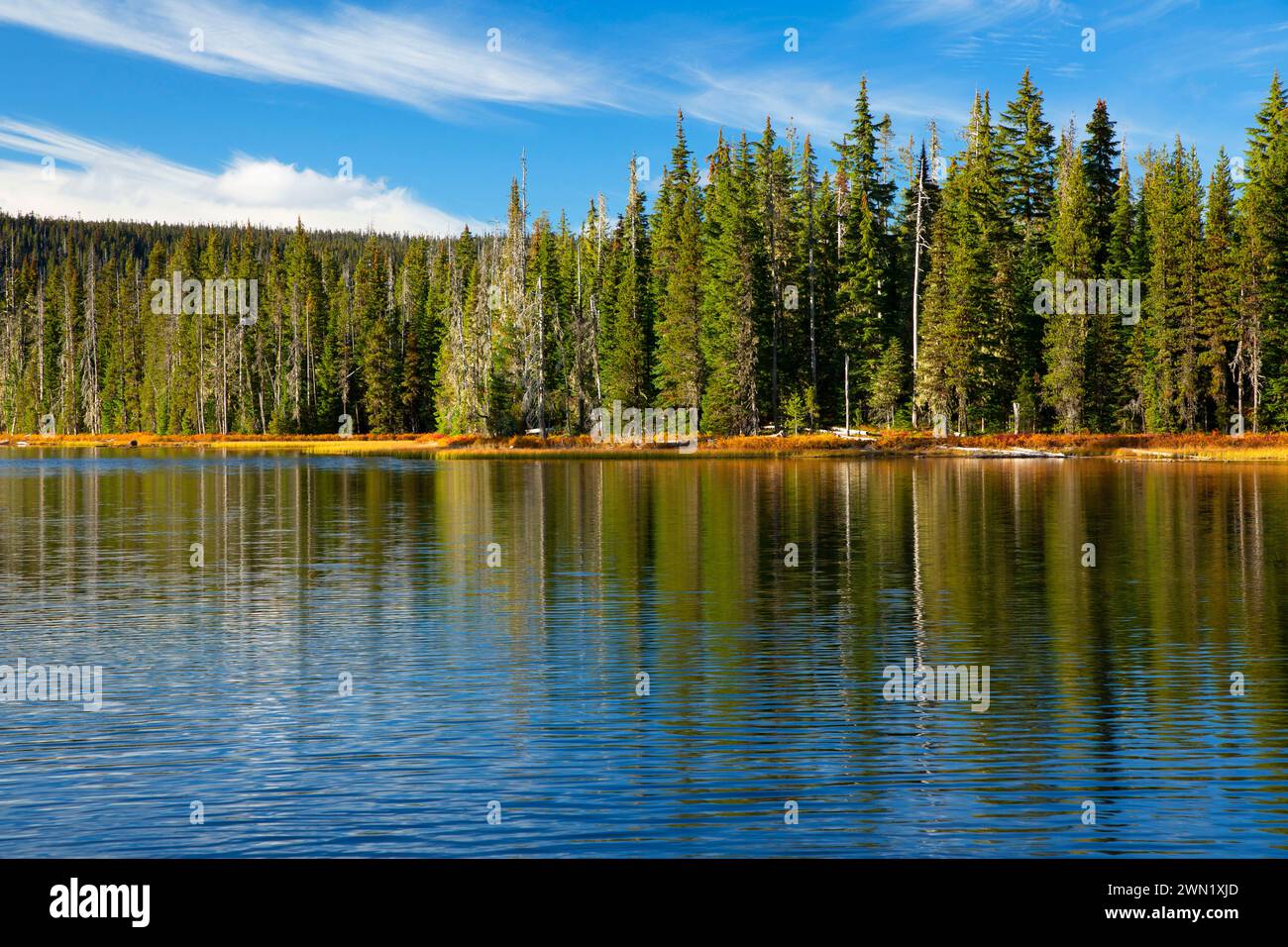 Scott Lake, Willamette National Forest, McKenzie Pass-Santiam Pass ...