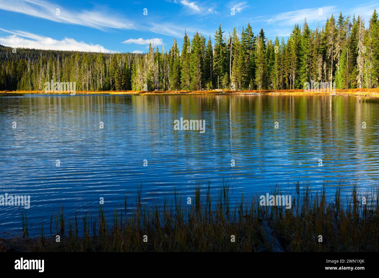 Scott Lake, Willamette National Forest, McKenzie Pass-Santiam Pass ...