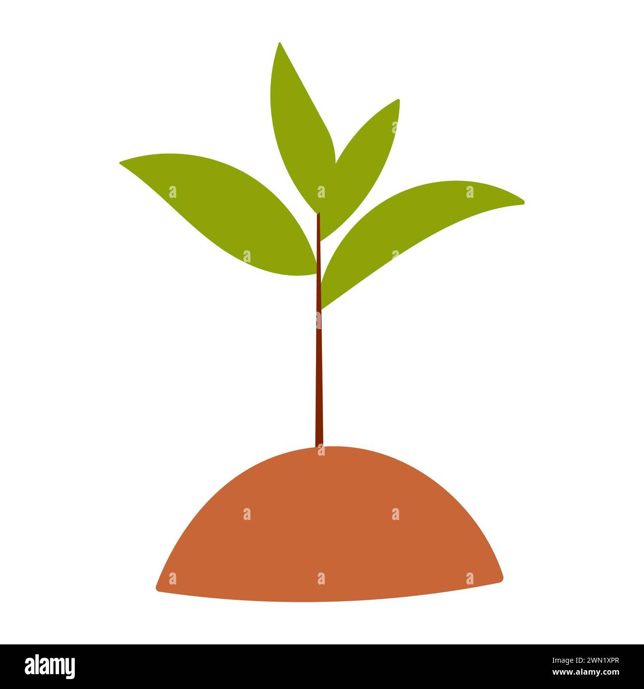 a Sprout grows from the ground. New green life. Eco-friendly. Garden ...