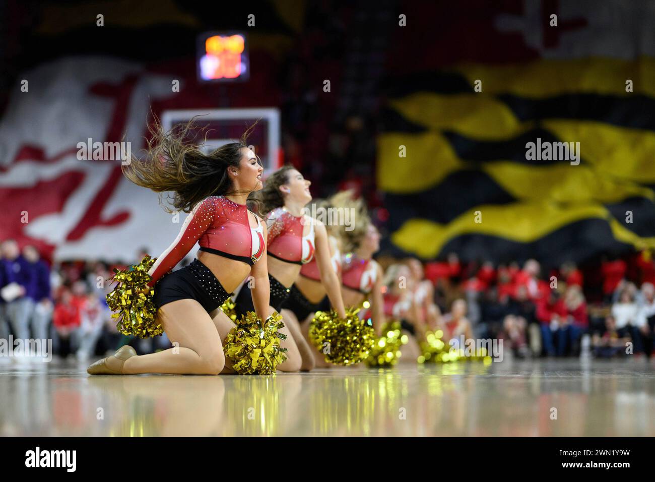 February 28, 2024: Maryland Terrapins cheerleaders in action during the ...