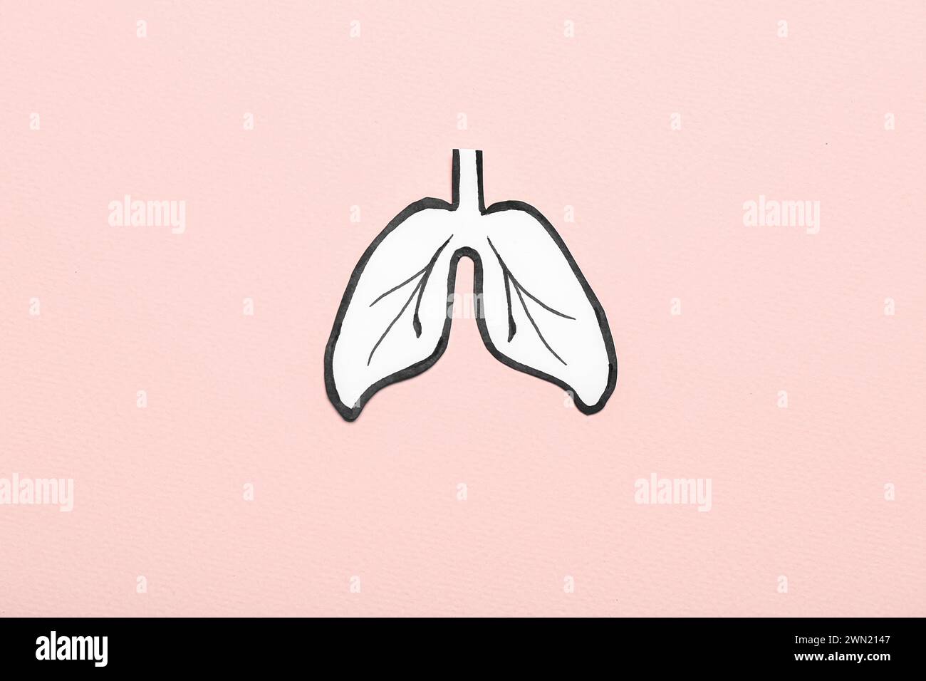 Drawn paper lungs on beige background Stock Photo - Alamy