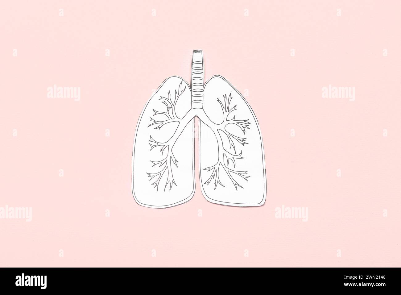 Drawn paper lungs on beige background Stock Photo - Alamy