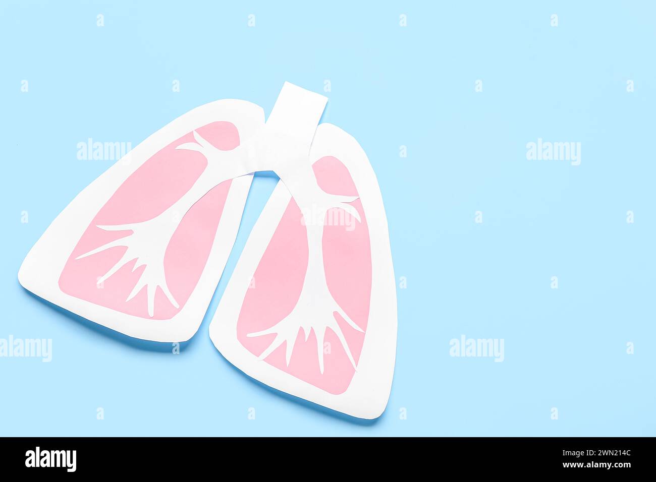 Top view lungs paper hi-res stock photography and images - Alamy