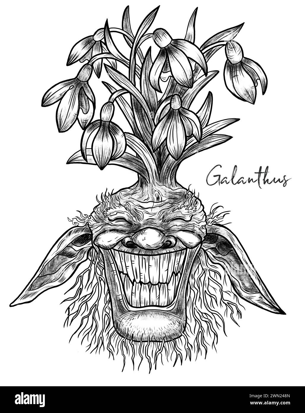 Hand drawn engraved illustrations with funny demon or gnome face as ...