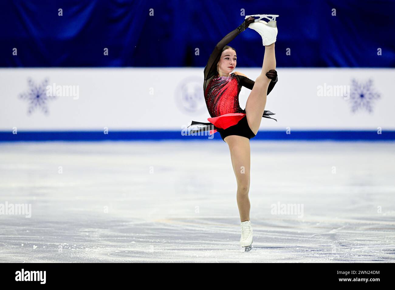 Noelle streuli pol hi-res stock photography and images - Alamy