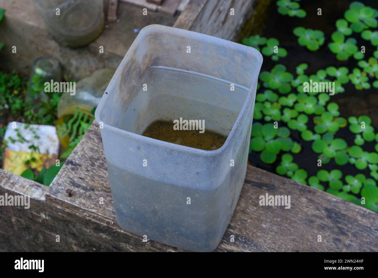 close up of a water reservoir originating from a spring in Wonosobo ...