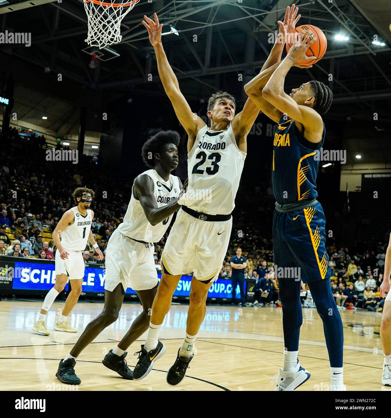 February 28, 2024: Colorado Buffaloes forward Tristan da Silva (23 ...