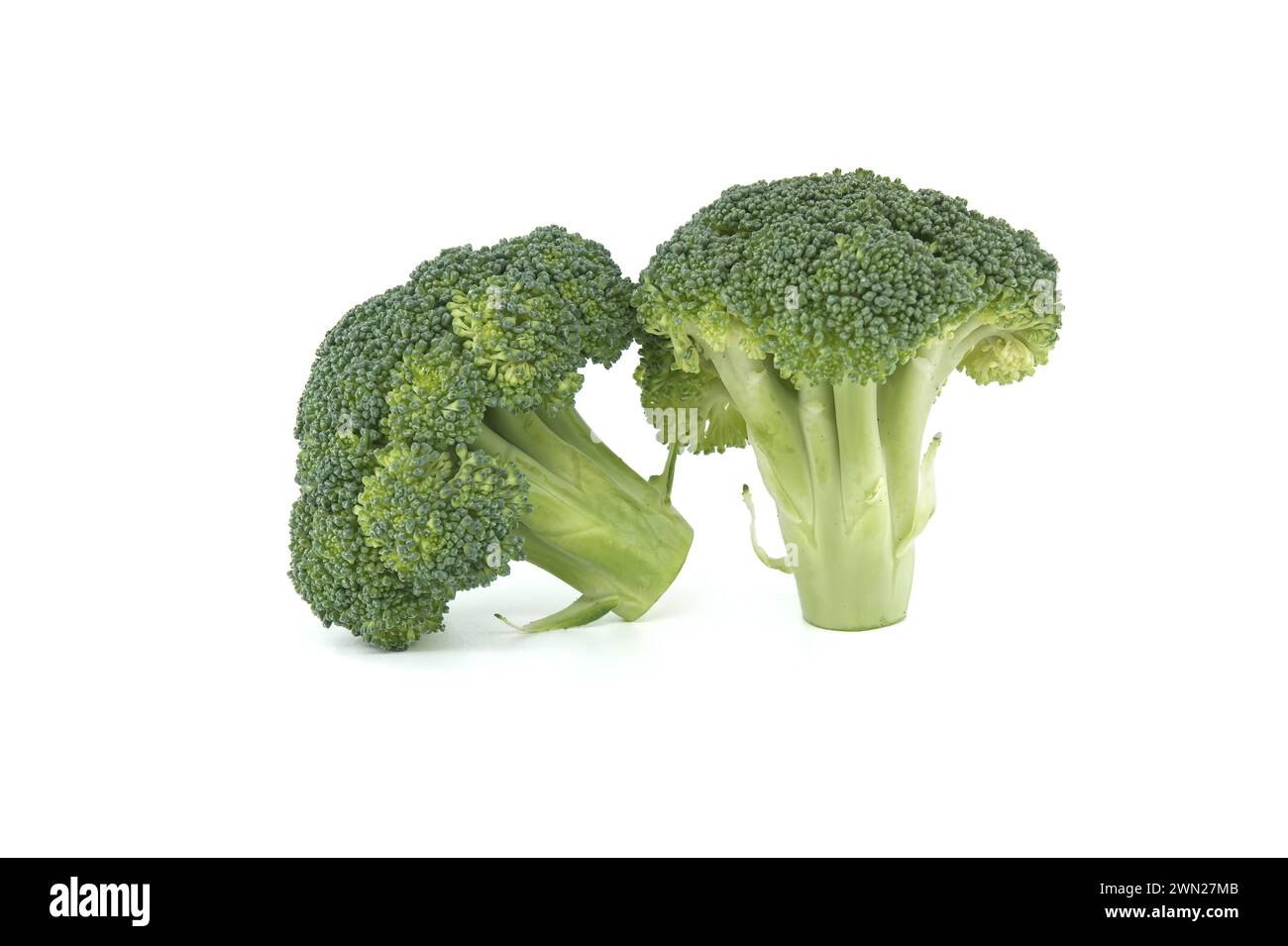 Broccoli flower heads isolated on white background, full depth of field ...